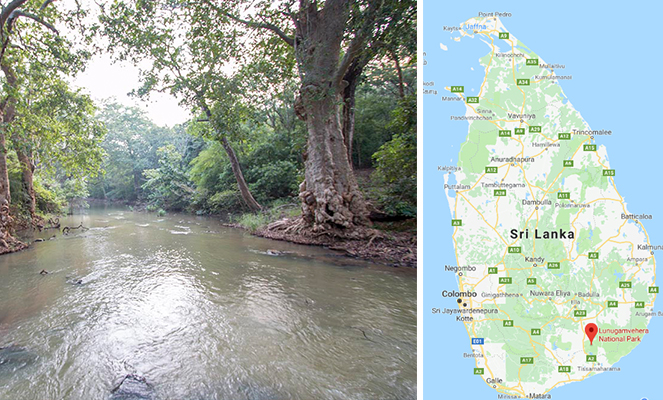 The Lesser Known National Parks of Sri Lanka | Pulse