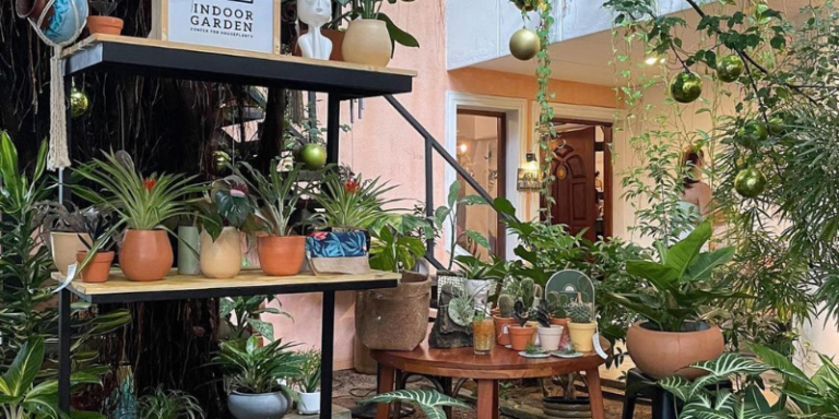 50 Dates Around Colombo | Pulse